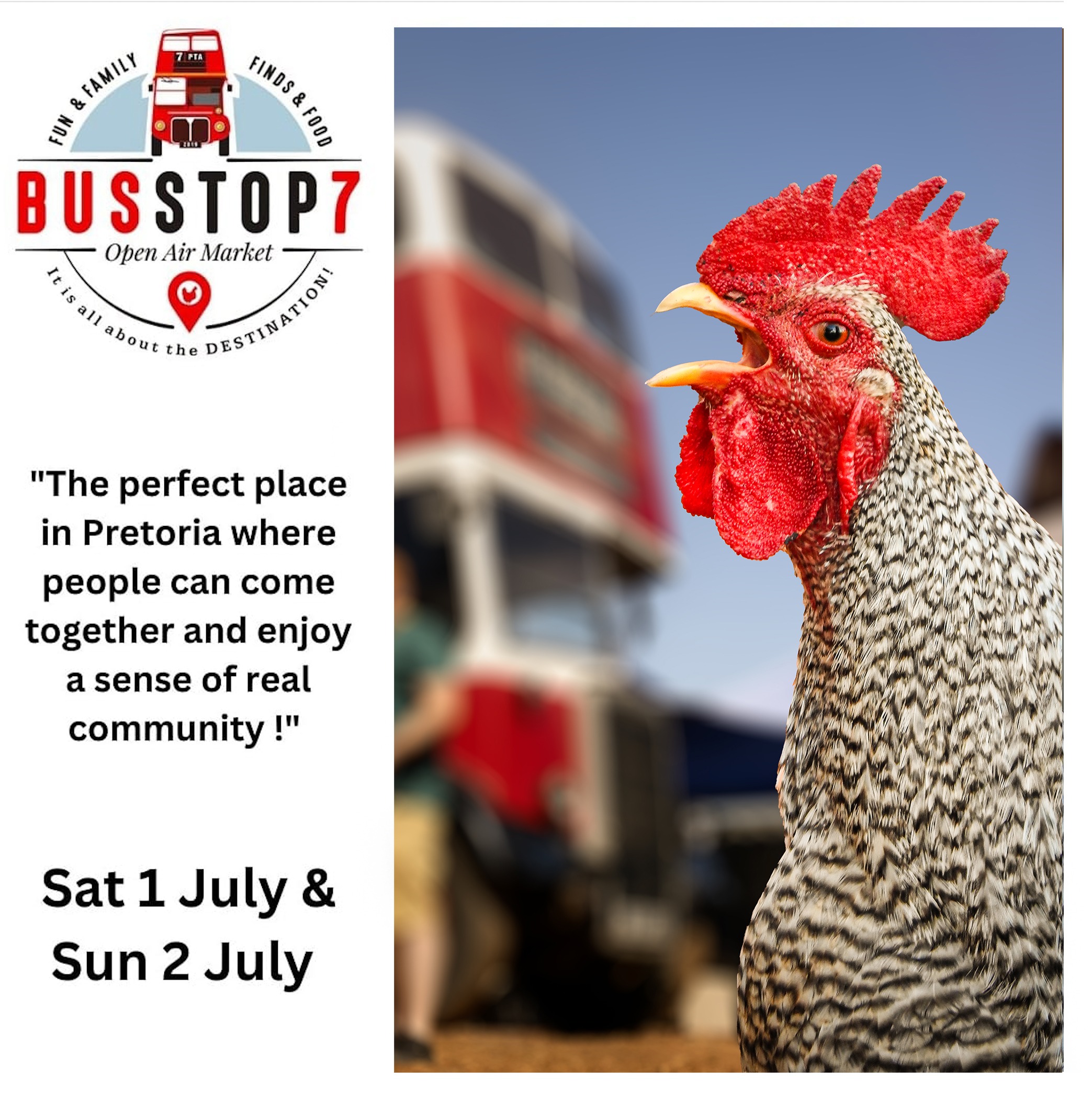 Looking for specialist animal photographer in Pretoria? | Theus ...