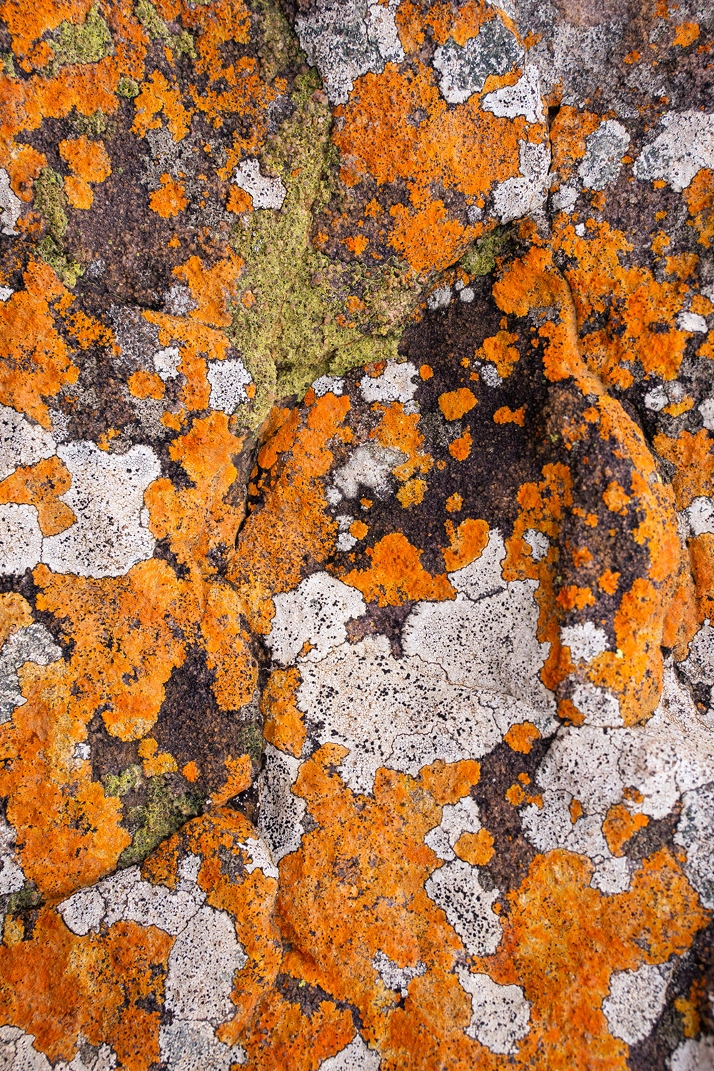 Images by Documentary Photographer - Theus Badenhorst | This gallery ...