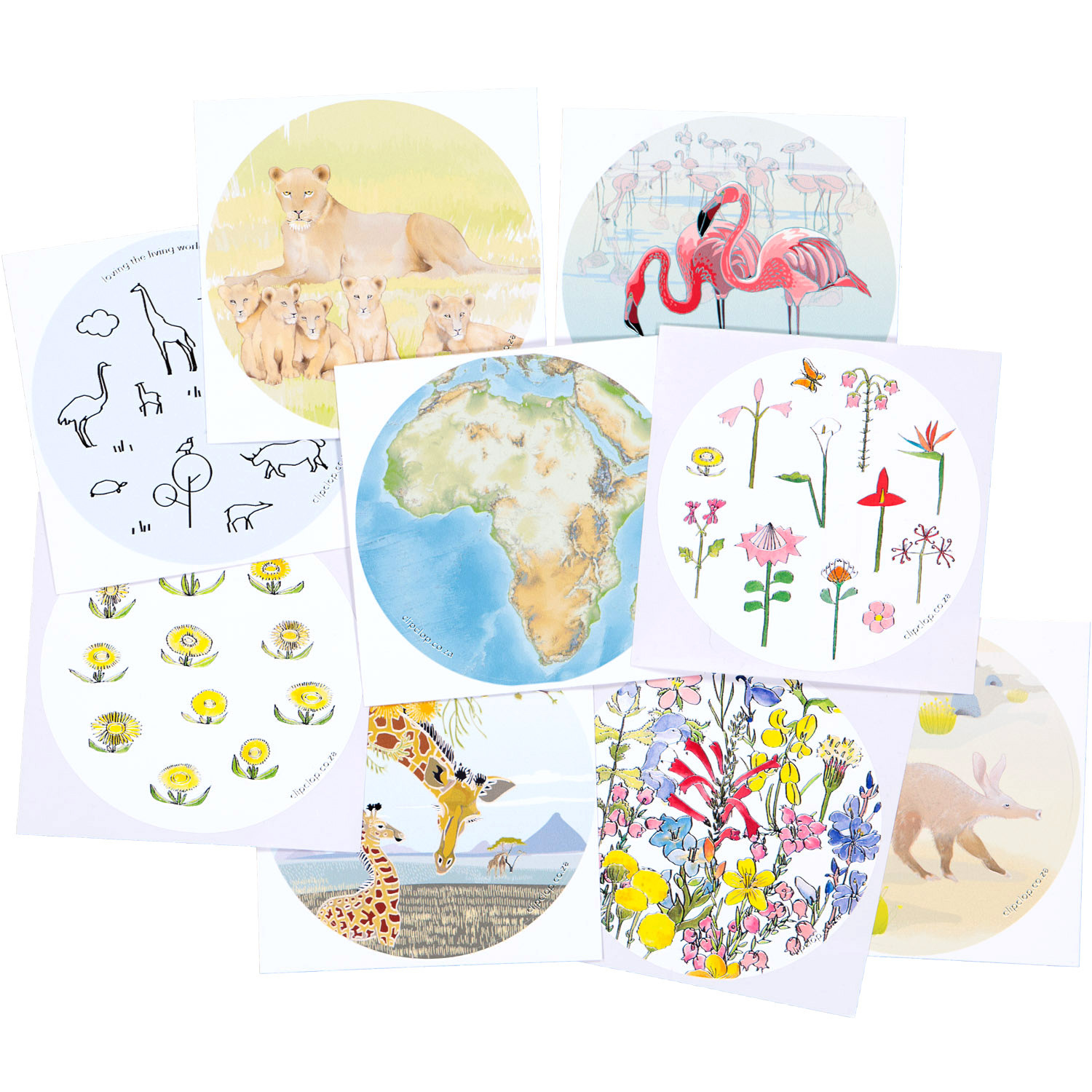 License Disc Stickers | Clip Clop | License Disc stickers are printed ...