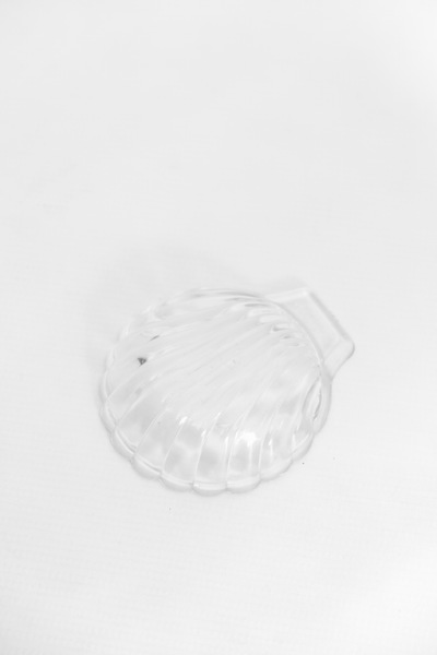 Glass Shell Small