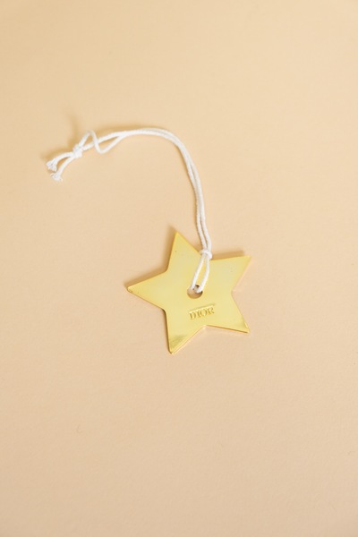 Dior Star Charms